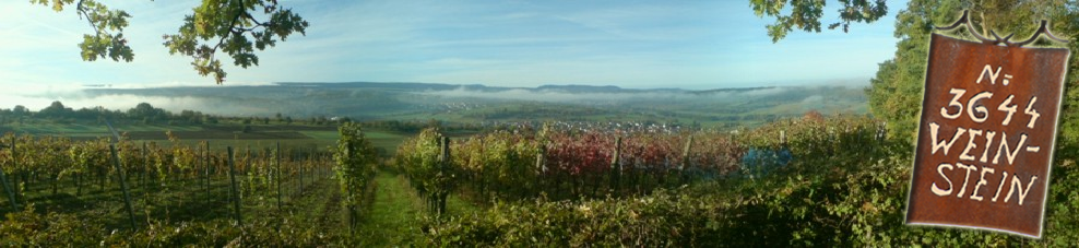 Start - Weingut Weinstein, Ellmendingen